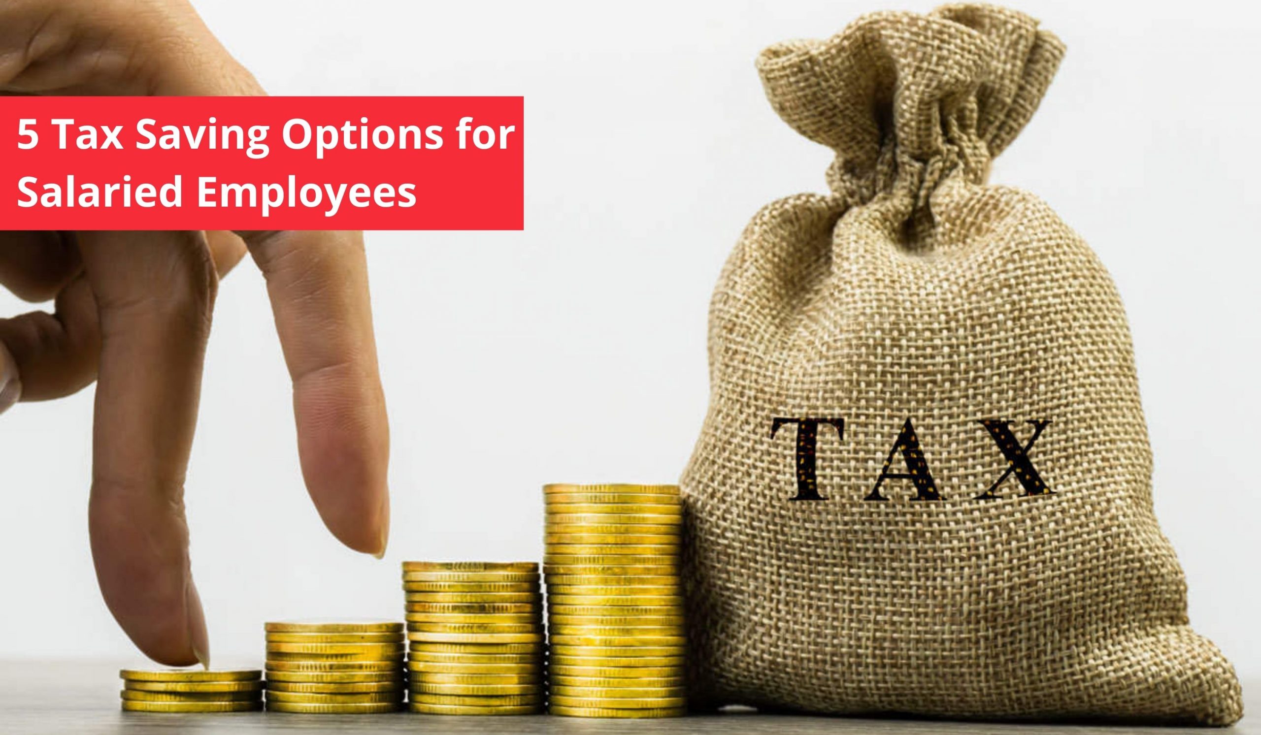 5 Tax Saving Options for Salaried Employees - Zaggle Save | Employee ...